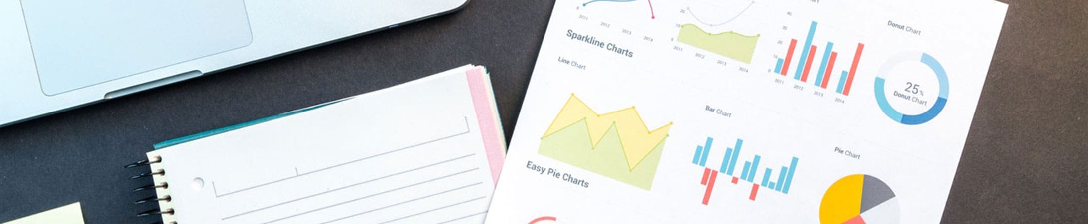 Research into the usability of the logistics software - Adaption IT